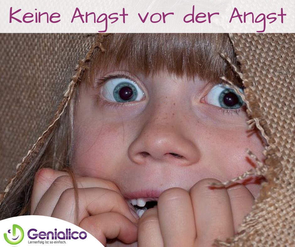 Keine Angst vor der Angst – Genialico